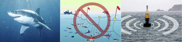 SharkStopper® - Future Products